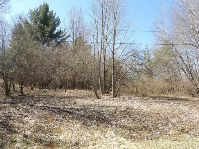 23094 Apache Trl, Evart, MI 49631