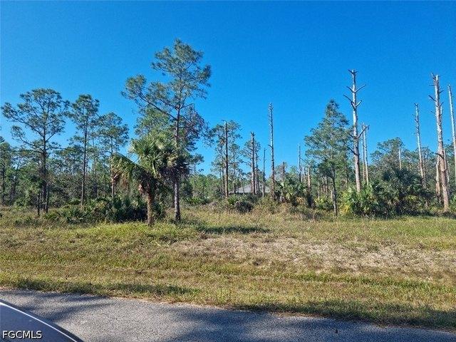 2309 Wellington Ave, Alva, FL 33920