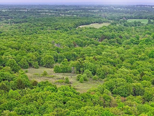 2300 Cobb Hollow Road