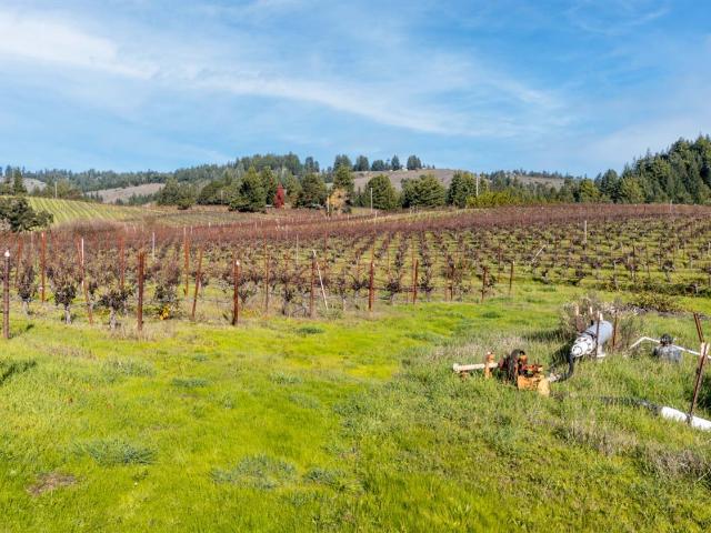 2300 Guntly Rd, Philo, CA 95466 | MLS #325102