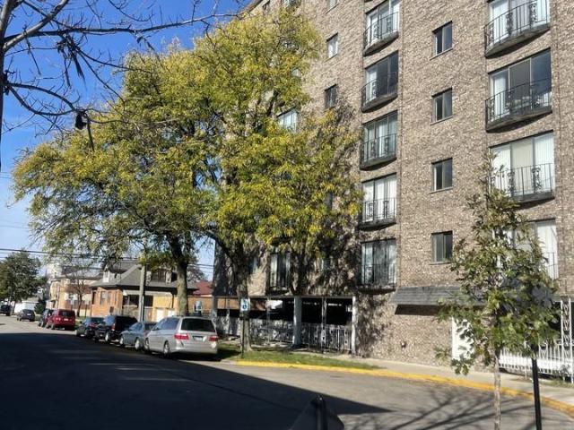 2300 HARLEM 1 Bedroom Apartment for Rent at 2300 N Harlem Ave, Elmwood Park, IL 60707