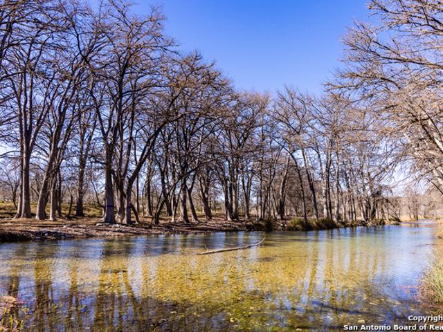 2300 Little Dry Frio Road