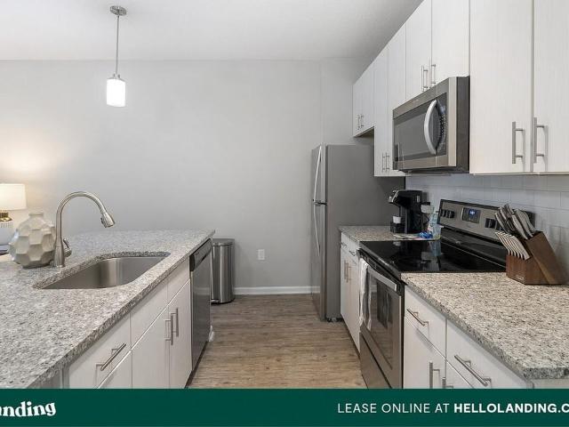 2300 Tapestry Park Dr 1 Bedroom Apartment for Rent at 2300 Tapestry Park Dr, Land O Lakes, FL 34639