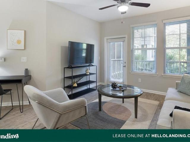 2300 Tapestry Park Dr 1 Bedroom Apartment for Rent at 2300 Tapestry Park Dr, Land O Lakes, FL 34639