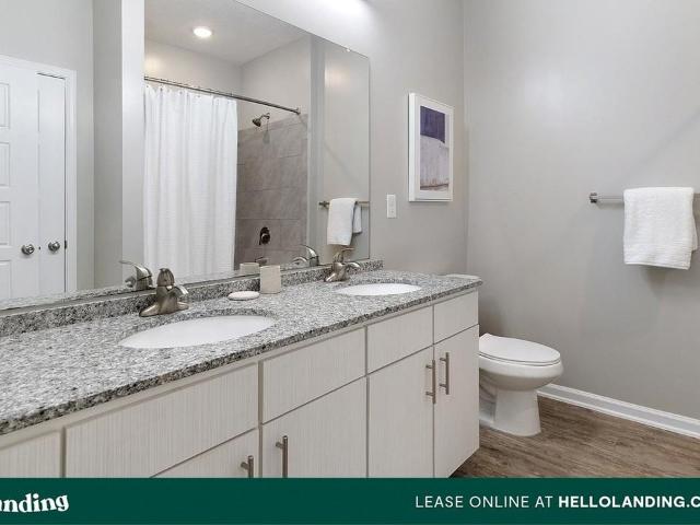 2300 Tapestry Park Dr 1 Bedroom Apartment for Rent at 2300 Tapestry Park Dr, Land O Lakes, FL 34639