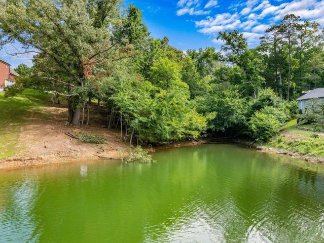 2301 Boat Dock Rd, Talbott, TN 37877