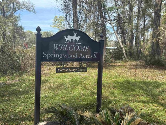 230 Basswood Dr, Crawfordville, FL 32327 | MLS #397454