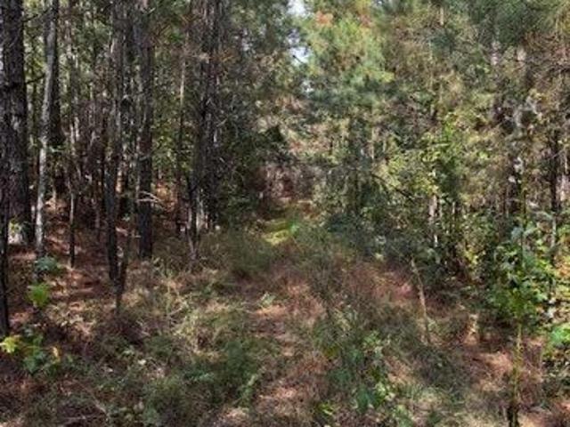 230 Dodgen Rd, Hampton, GA 30228