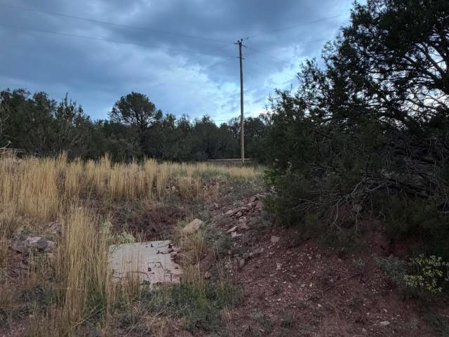 230 Frost Road