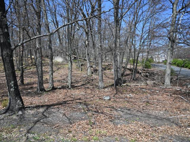 230 Hummingbird Court