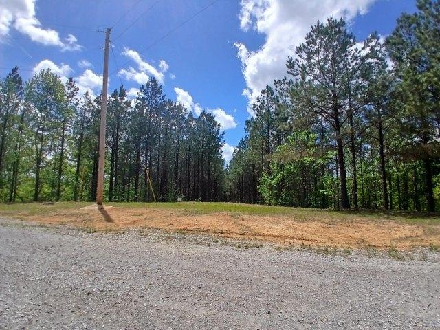 230 Juniper Dr, Linden, TN 37096
