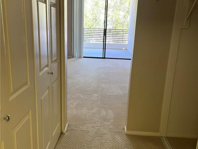 230 lille lane 204