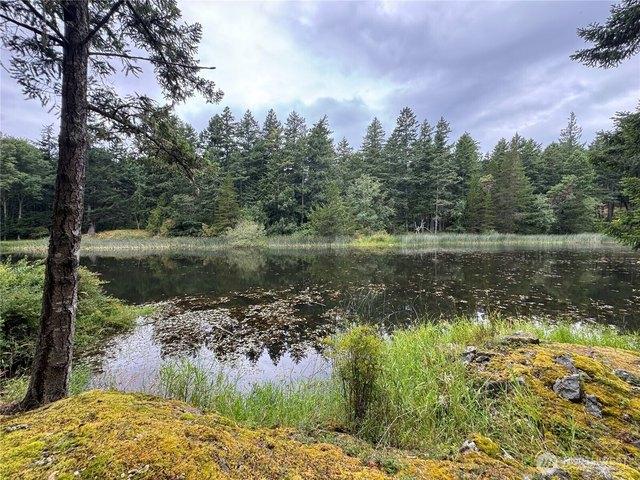 230 Serendipity Ln, Orcas Island, WA 98243