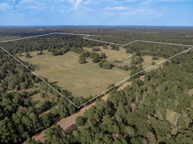 230 St Trinity, TX 75862 | Compass