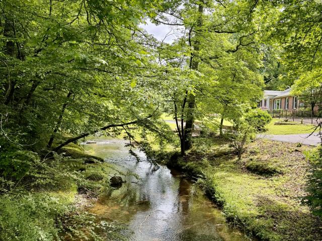 230 Raven Bluff Rd