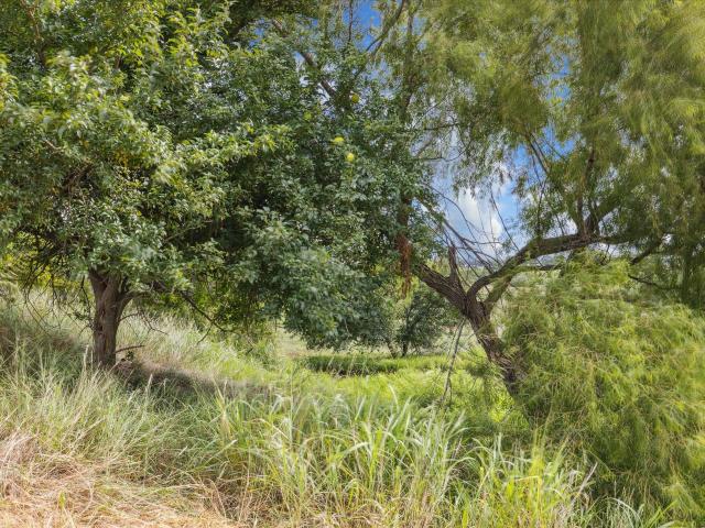230 Vineyard View Trail Lot 24