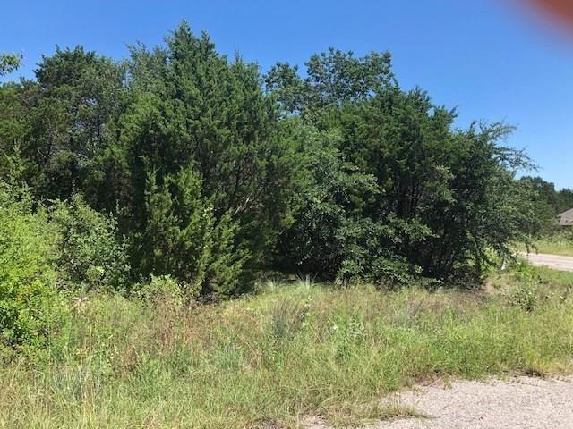 2314 Forest Hill Ln Lot 126, Granbury, TX 76048