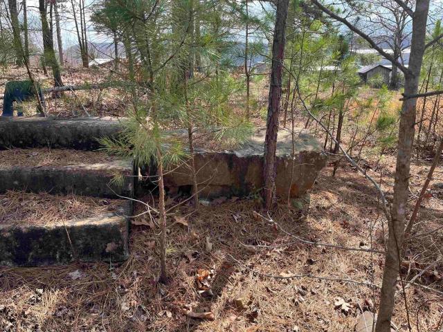 2314 Little Red River Road