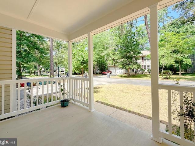 23150 Grey Squirrel Lane