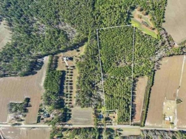 2315 Cale Yarborough Hwy, Timmonsville, SC 29161