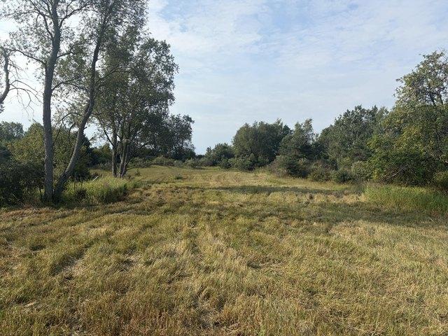 23169 1 Mile Rd, Reed City, MI 49677