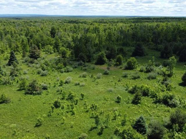23171 Seppanen Rd, Nisula, MI 49952