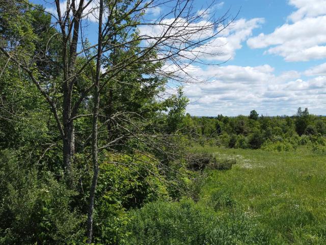 23171 Seppanen Road # TBD off end of Seppanen Road