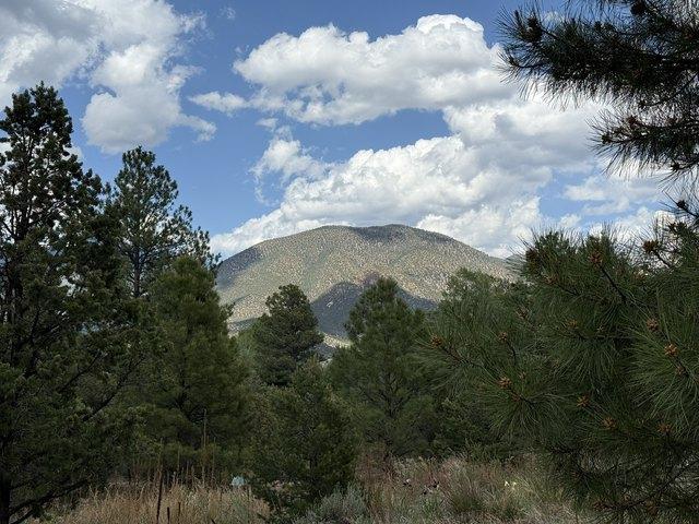2318 Old Red River Rd, Questa, NM 87556