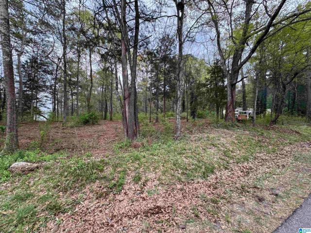 2318 Annesley Drive # 009