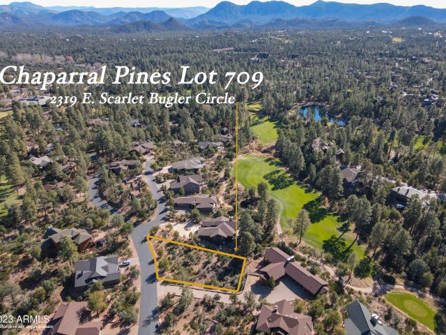 2319 E Scarlet Bugler Circle # 709
