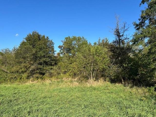 2319 US Highway 45, Rinard, IL 62878