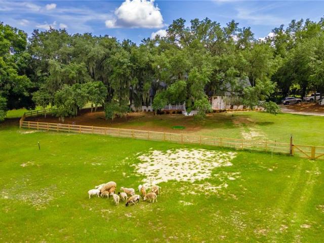 23100 SE Highway 42, Umatilla, FL 32784 | MLS #O6395