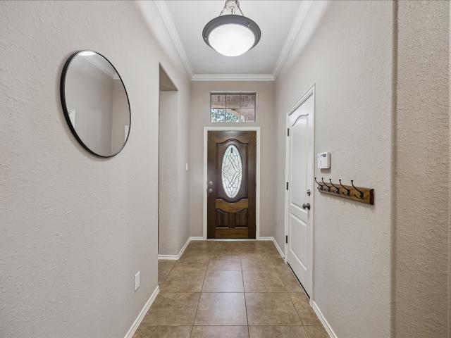 23107 Enchanted Cactus Drive
