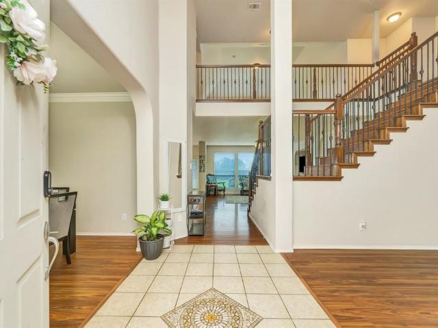 2312 Tawny Owl Road