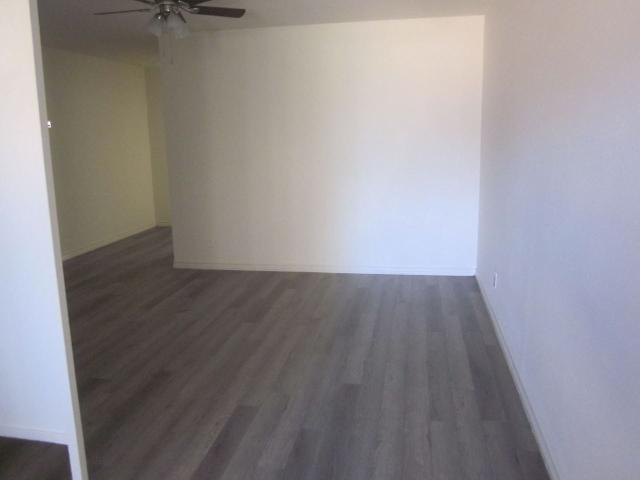 2312 1 Bedroom Apartment for Rent at 14th 14th Ave, Canyon, TX 79015