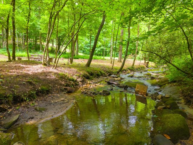 231 Cedar Creek Farm Road