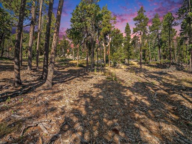231 Granite Dr, Drake, CO 80515