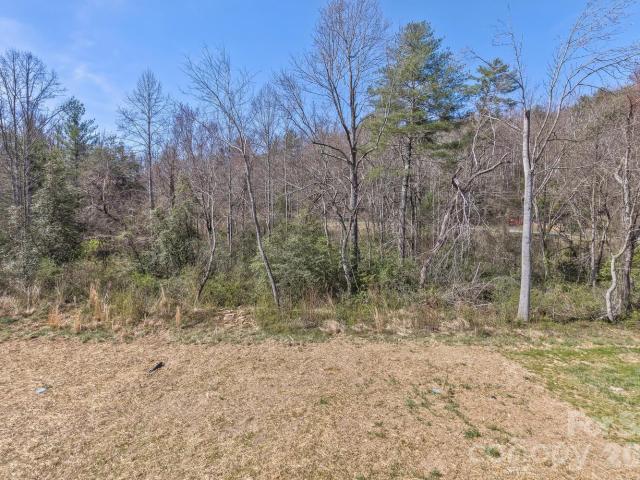 231 Edgewood Rd S, Unit 5, Asheville, NC 28803 | MLS #4362