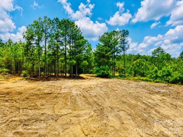 231 JC Barefoot Road
