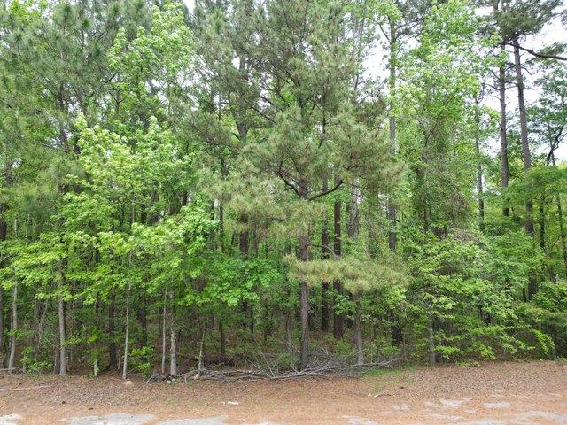 231 Morningside Dr, Saint Matthews, SC 29135