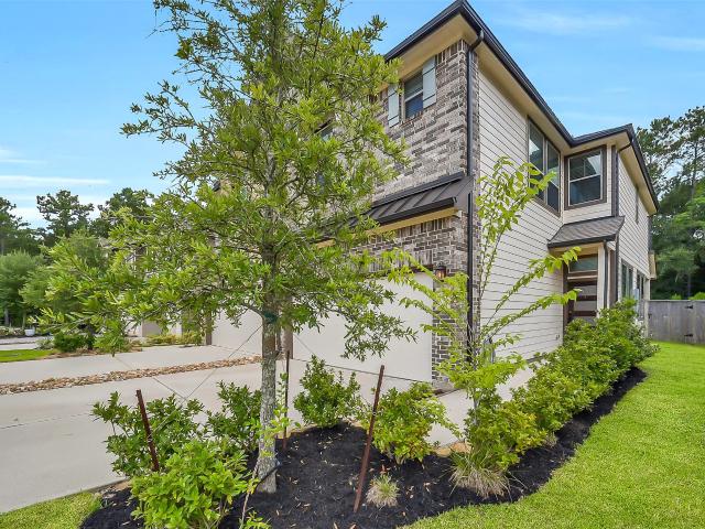 231 S Spotted Fern Drive