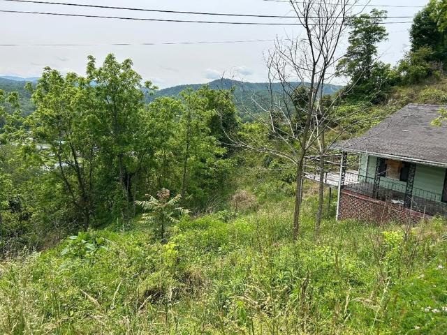 231 Scenic Rd