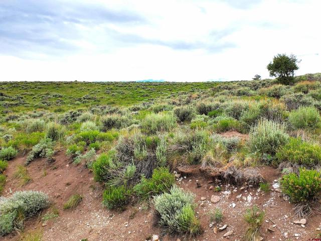 231 Schofield Trl, Powderhorn, CO 81243 | MLS #833267