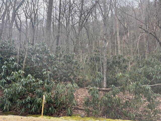 23/24 Old Wagon Trl Lots 23 & 24, Highlands, NC 28741