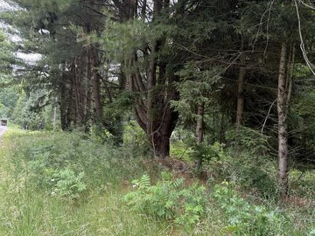 23250 W Wood Lake Rd, Pierson, MI 49339