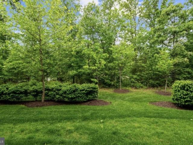 23255 Milltown Knoll Square # 111