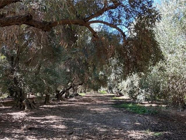 23265 Viola Ave, Corning, CA 96021