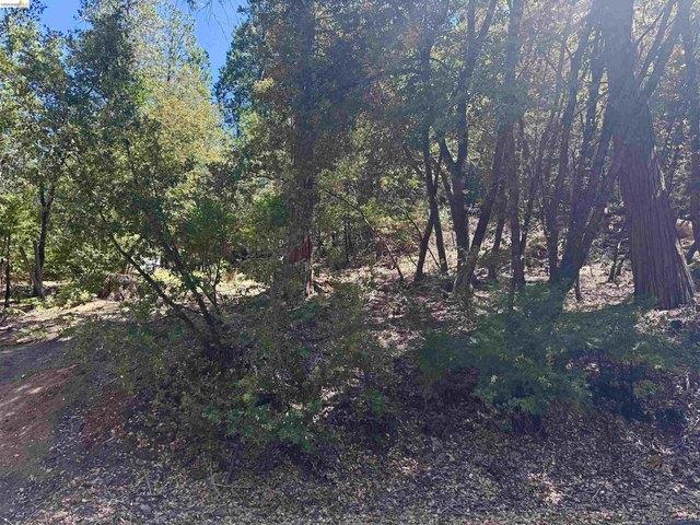23265 Quail Dr, Twain Harte, CA 95383