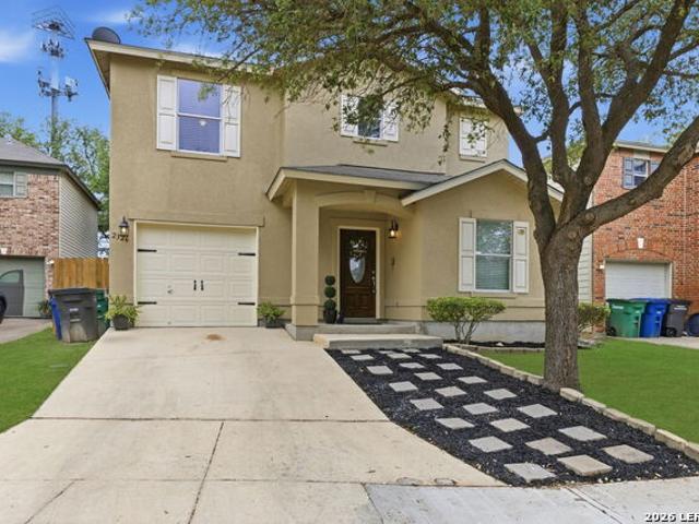 2326 Boxer Palm