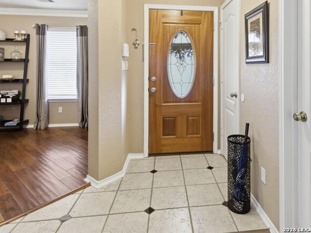 2326 Boxer Palm